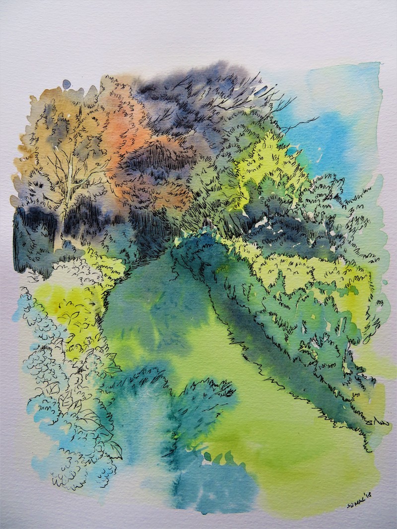 Watercolour and Drawing - Selwyn Community Education